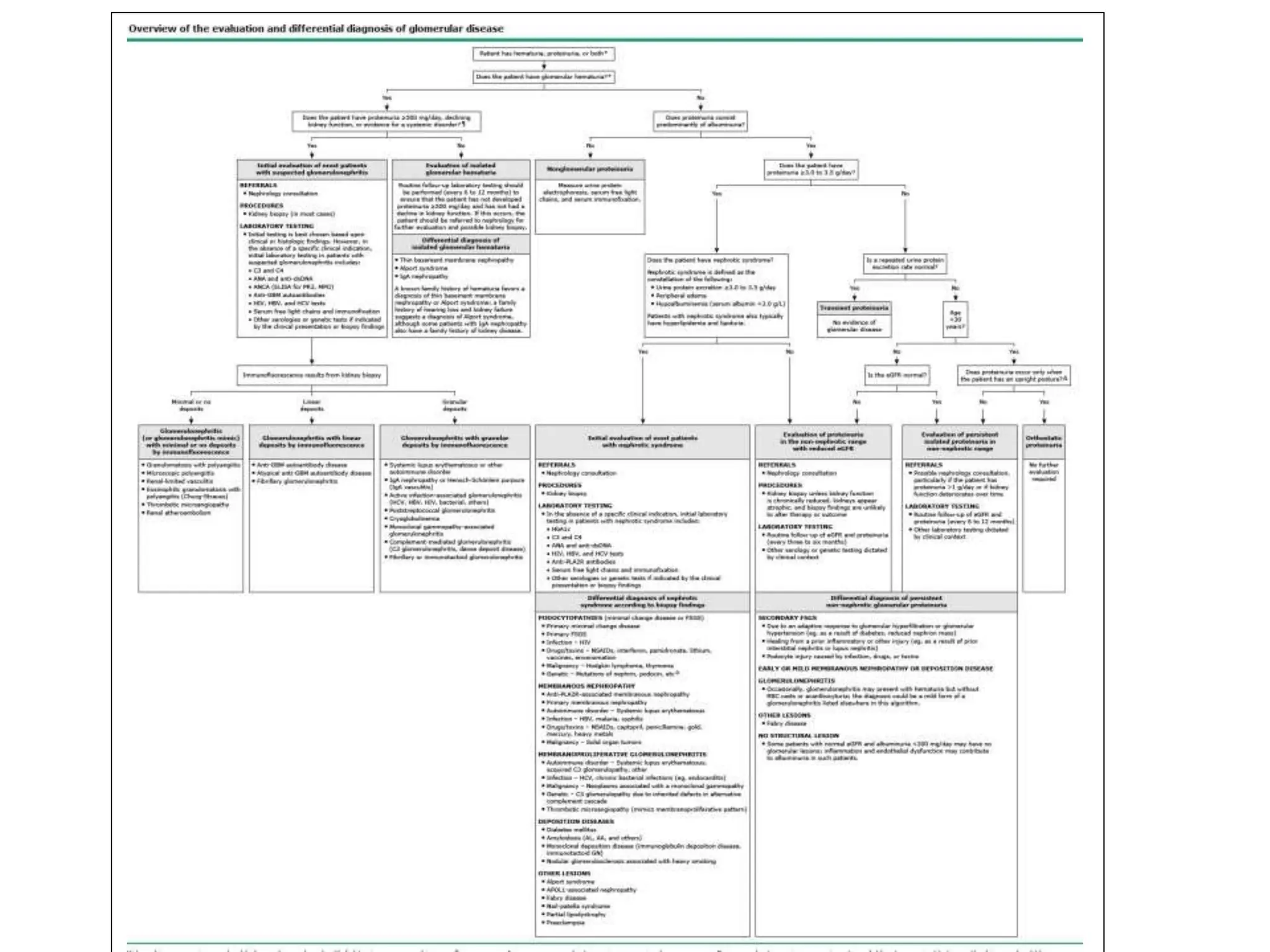dr Aida Lydia - Practical Approach in CLomerular Disease (1).pptx