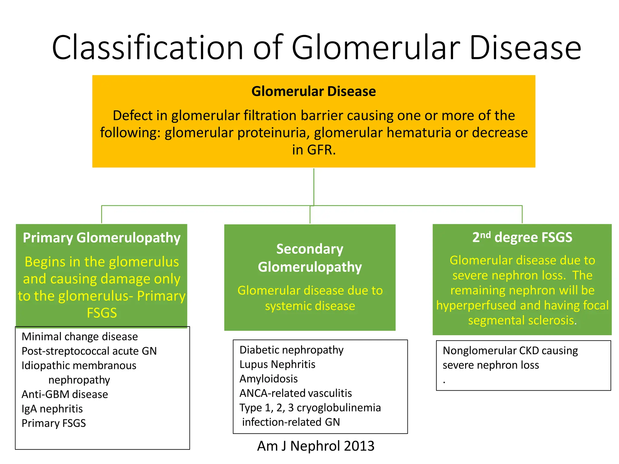 dr Aida Lydia - Practical Approach in CLomerular Disease (1).pptx | Blood Disorders | Diseases ...