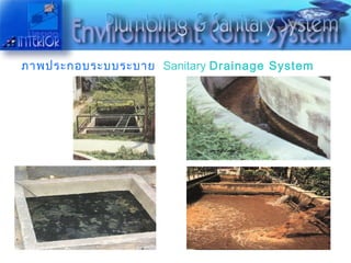 Drainage | PPT