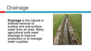 Drainage | PPT