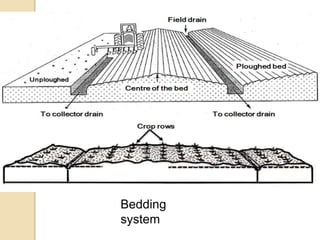 Drainage water management | PPTX