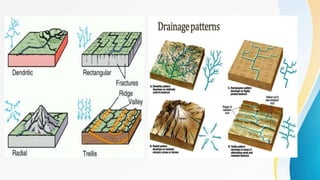 Drainage | PPT