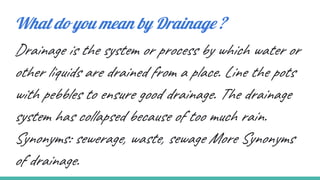 Drainage | PPTX