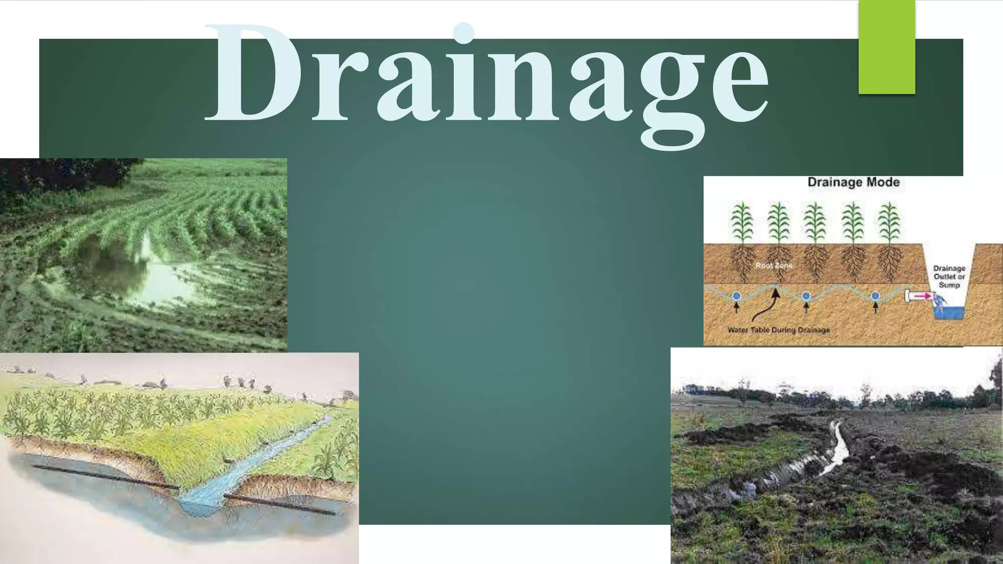 Drainage | PPTX