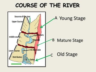 DRAINAGE of India ppt for teachers help 😊 | PPT