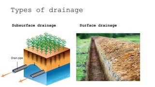 DRAINAGE,GSGFCDSYDVQWSVHDQSHXVSHXSHVVHSVHXXS | PPT