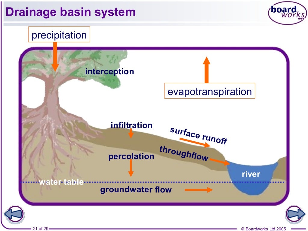 Drainage Basins