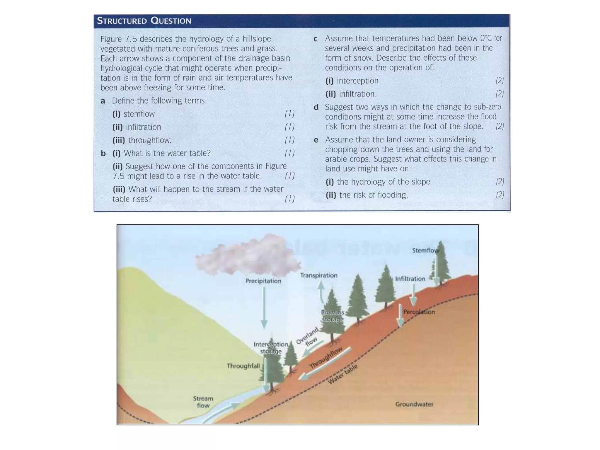 Drainage Basins VLE | PPTX