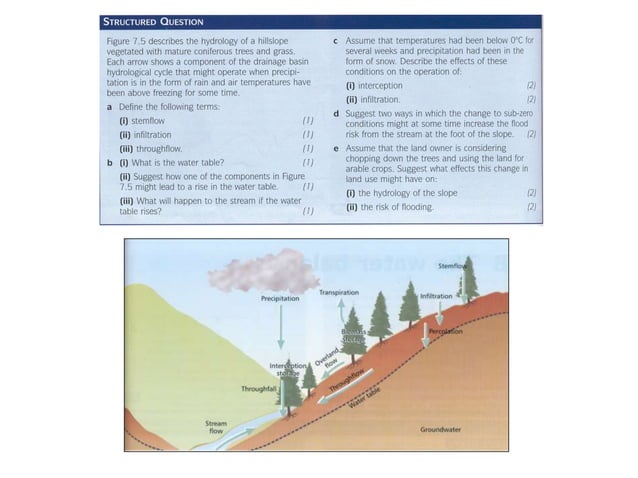 Drainage Basins VLE | PPTX