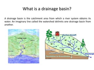 Drainage Basins VLE | PPTX