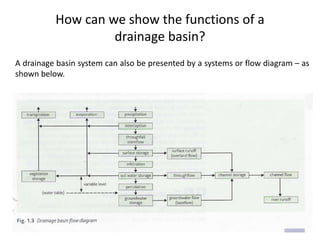 Drainage Basins VLE | PPTX