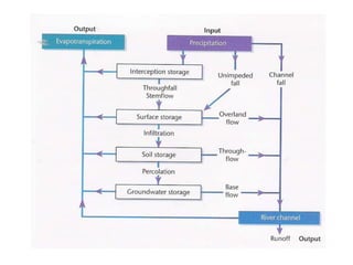 Drainage Basins VLE | PPTX