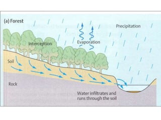 Drainage Basins VLE | PPTX