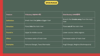 Drainage System: Meaning, Types & Importance | PDF
