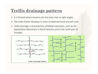 Drainage class 9 | PPTX