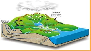 DRAINAGE SYSTEM | PPT