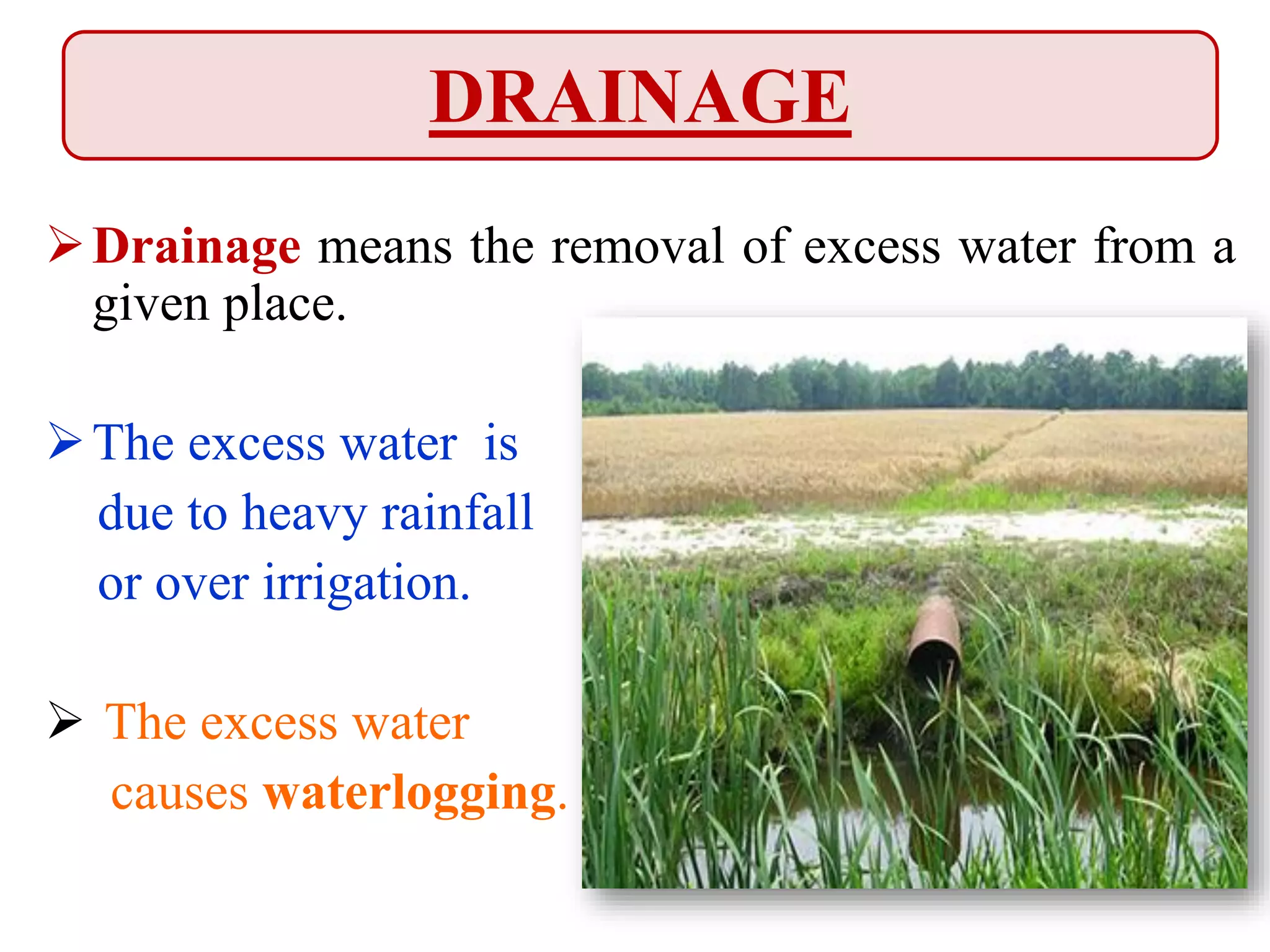 IMPORTANCE OF DRAINAGE IN IRRIGATED AREAS | PDF