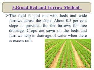 IMPORTANCE OF DRAINAGE IN IRRIGATED AREAS | PDF