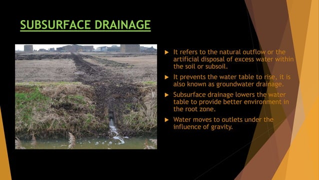 DRAINAGE AND ITS TYPES PPTPPRISI(Prisi).pptx | Gardening | Home & Garden