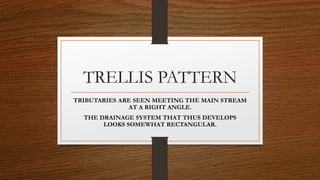 Drainage and Settlement patterns | PPTX