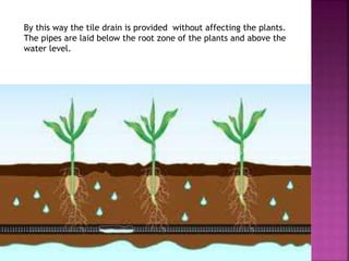 Drainage system | PPTX