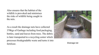 PPT on Drainage system problems and sloutions | PPTX