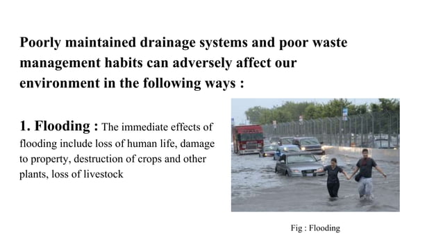 PPT on Drainage system problems and sloutions | PPTX