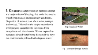 PPT on Drainage system problems and sloutions | PPTX