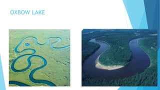 DRAINAGE SYSTEM.pptx