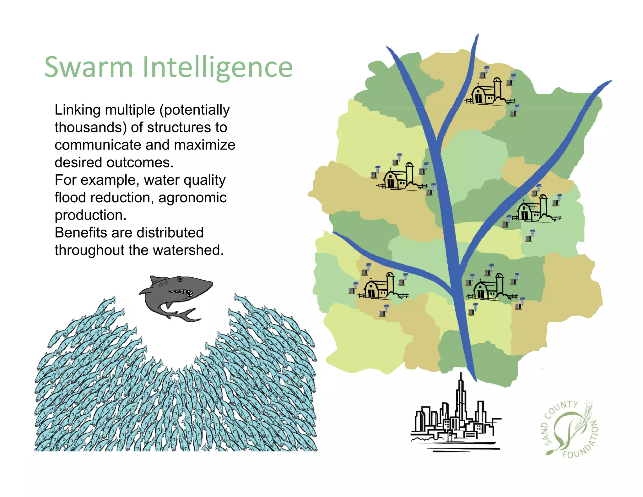 Drainage water management options and strategies | PPT