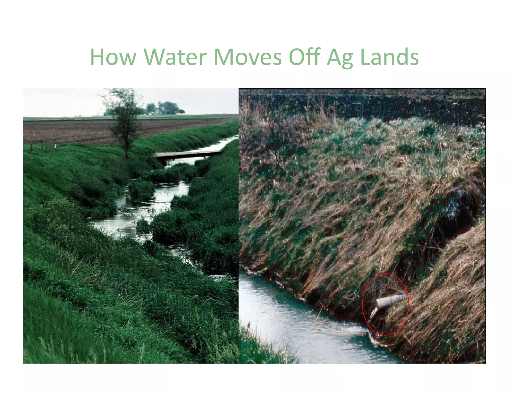 Drainage water management options and strategies | PPT