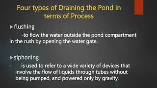Draining and Drying | PPTX