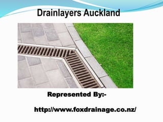 Drainlayer auckland | PPT