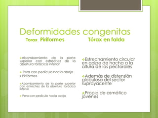 semiologia torax | PPTX