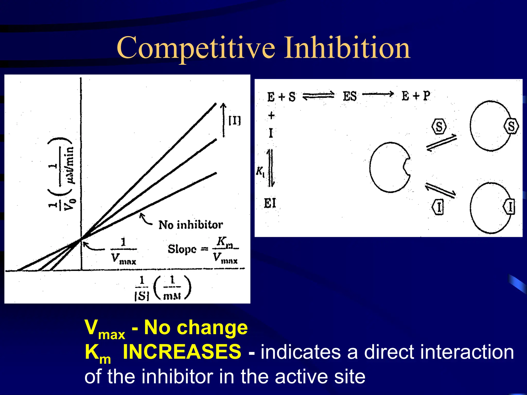 enzyme kinetics-how it works, michelis menten equation | PPT