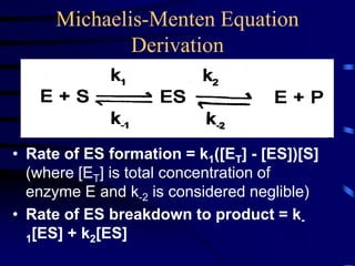 enzyme kinetics-how it works, michelis menten equation | PPT