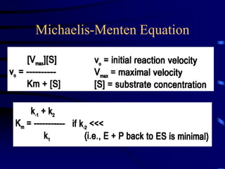 enzyme kinetics-how it works, michelis menten equation | PPT
