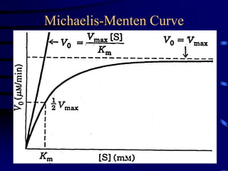 enzyme kinetics-how it works, michelis menten equation | PPT