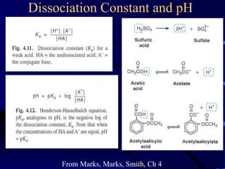 Water, pH and Dissociation | PPT