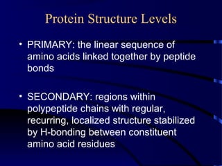 Biomolecules: Peptides and Proteins | PPT
