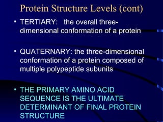 Biomolecules: Peptides and Proteins | PPT