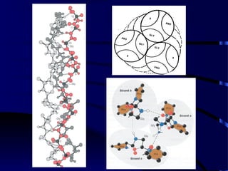 Higher Order Protein Structures | PPT