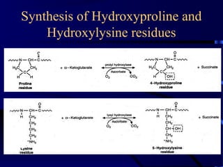 Higher Order Protein Structures | PPT