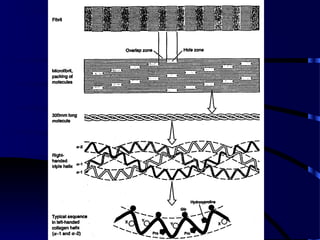 Higher Order Protein Structures | PPT