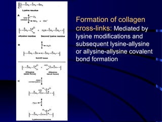 Higher Order Protein Structures | PPT