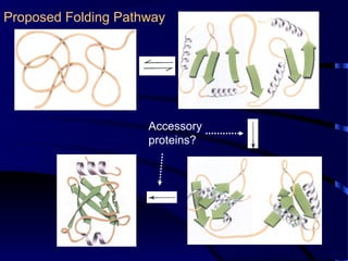 Higher Order Protein Structures | PPT