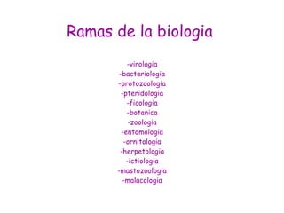 Ramas de la biologia | PPT