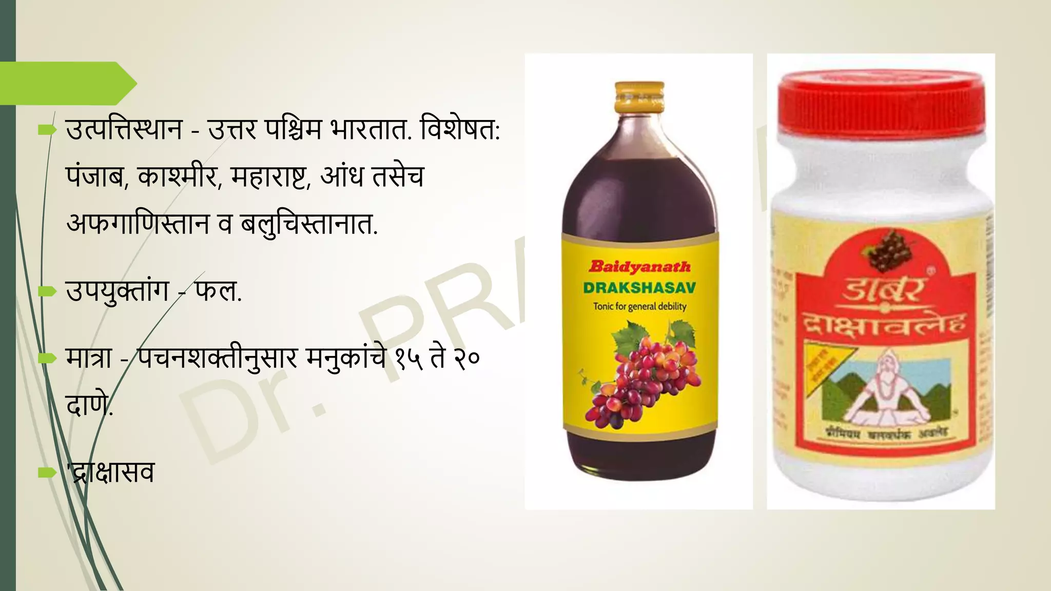 Draksha = Vitis vinifera | PPTX