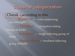 Draksha plant ppt | PPTX