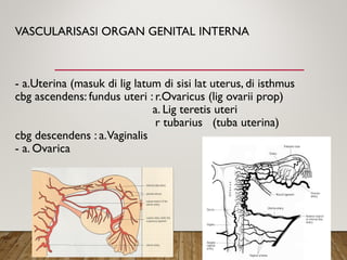 dr Alfaina_Anatomi klinik blok repro 2023.ppt